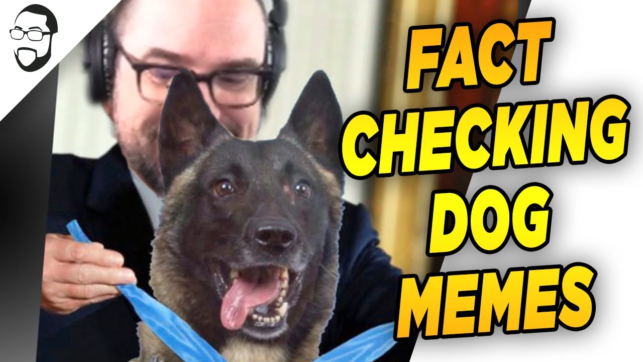 Fact-Checking-Dog-Memes-With-Richard-Lewis - RLewisReports